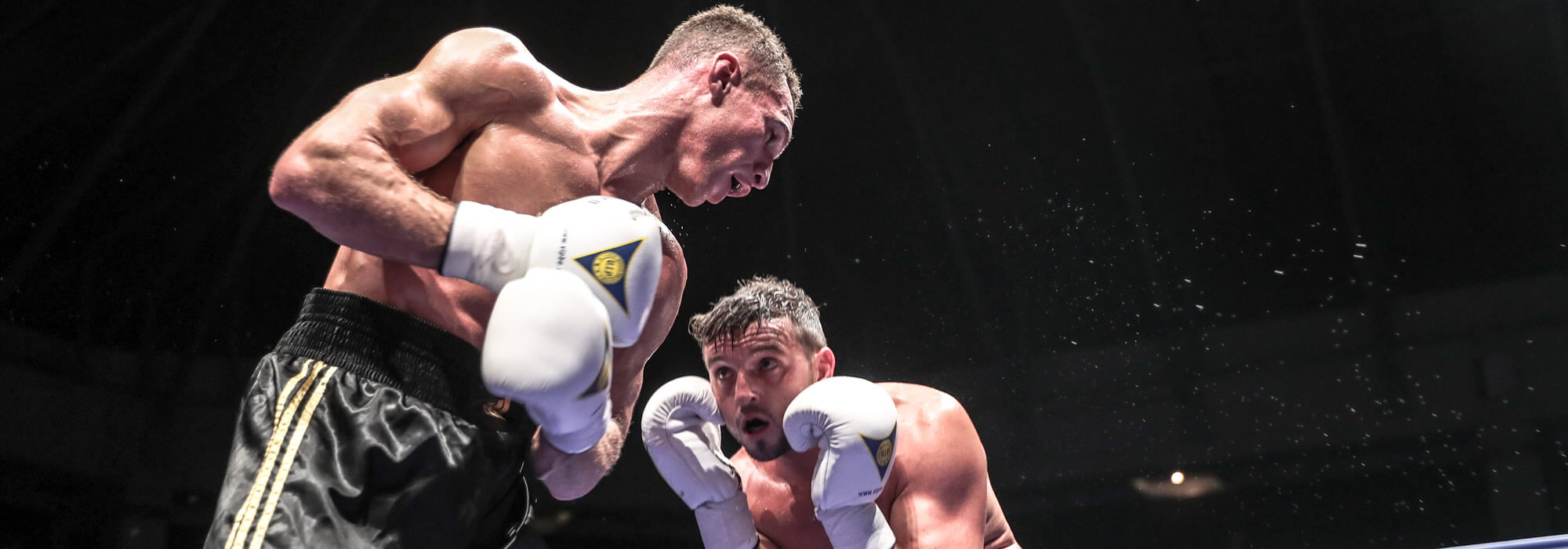 RP Davies Images - RPD Boxing - Professional Boxer